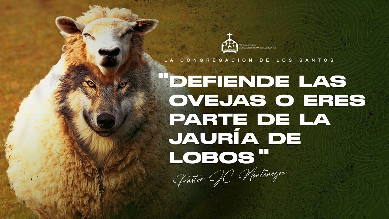 LA TAREA MÁS IMPORTANTE DE UN PASTOR ES CUIDAR LAS OVEJAS DEL SEÑOR DE ...