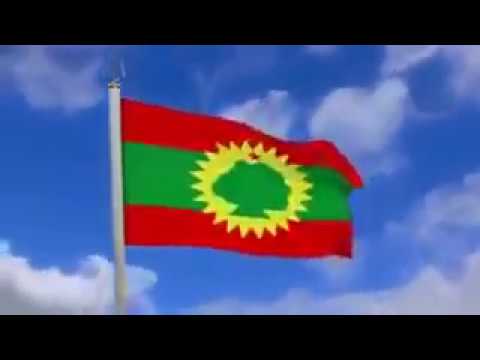 Oromo music:faaruu Alaabaa Oromiyaa - YouTube