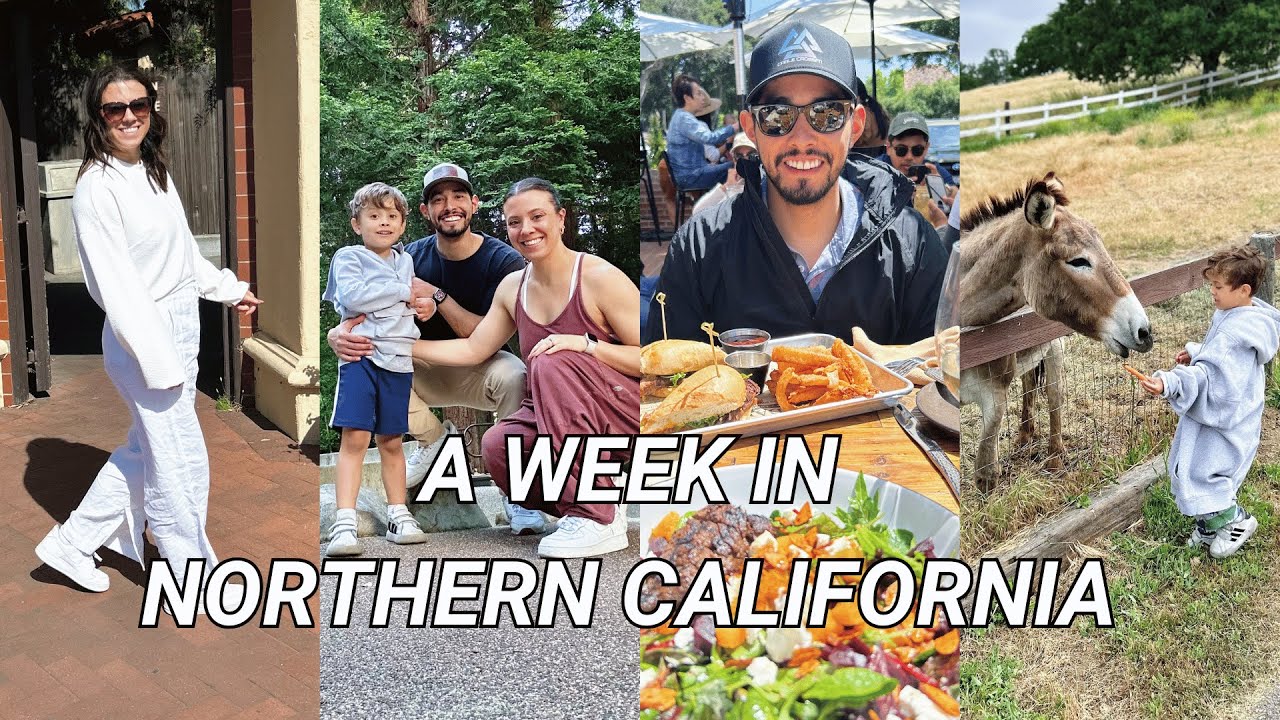 A WEEK IN NORTHERN CALIFORNIA | exploring cute coffee shops, museums ...