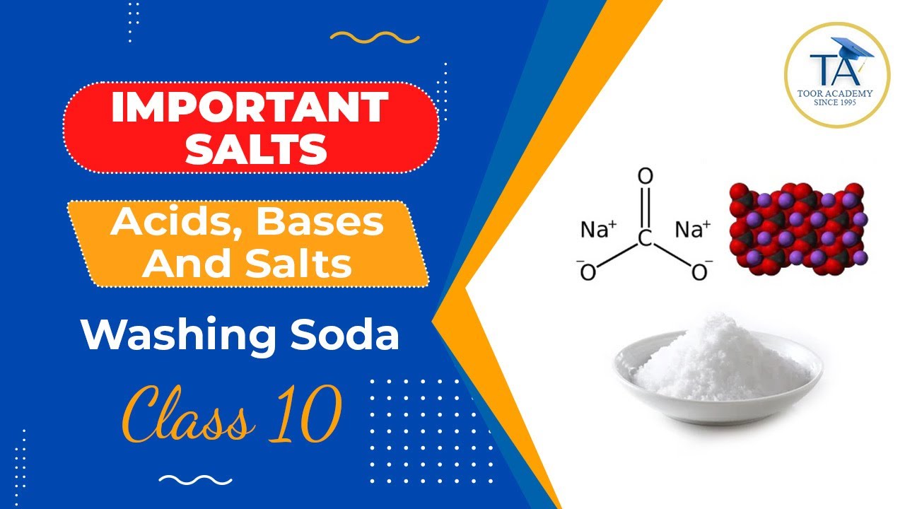 SaLTs | Acids Bases Salts 03| Types Of SaLTs |Class 10 CBSE | - YouTube