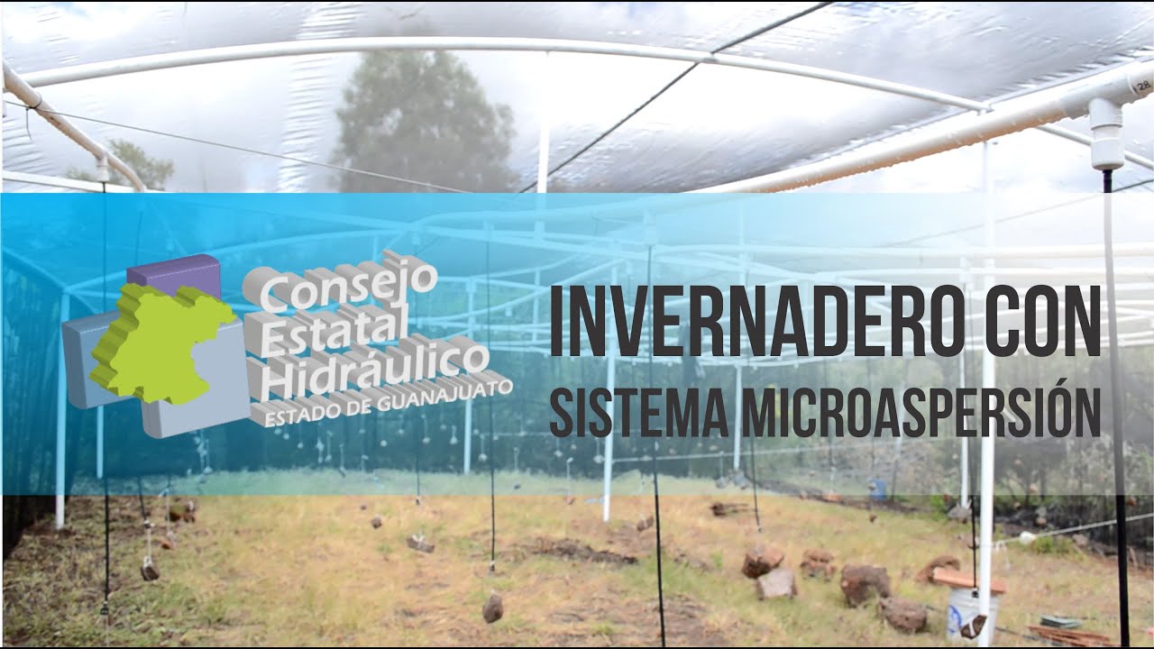 Invernadero con Sistema Microaspersion - YouTube