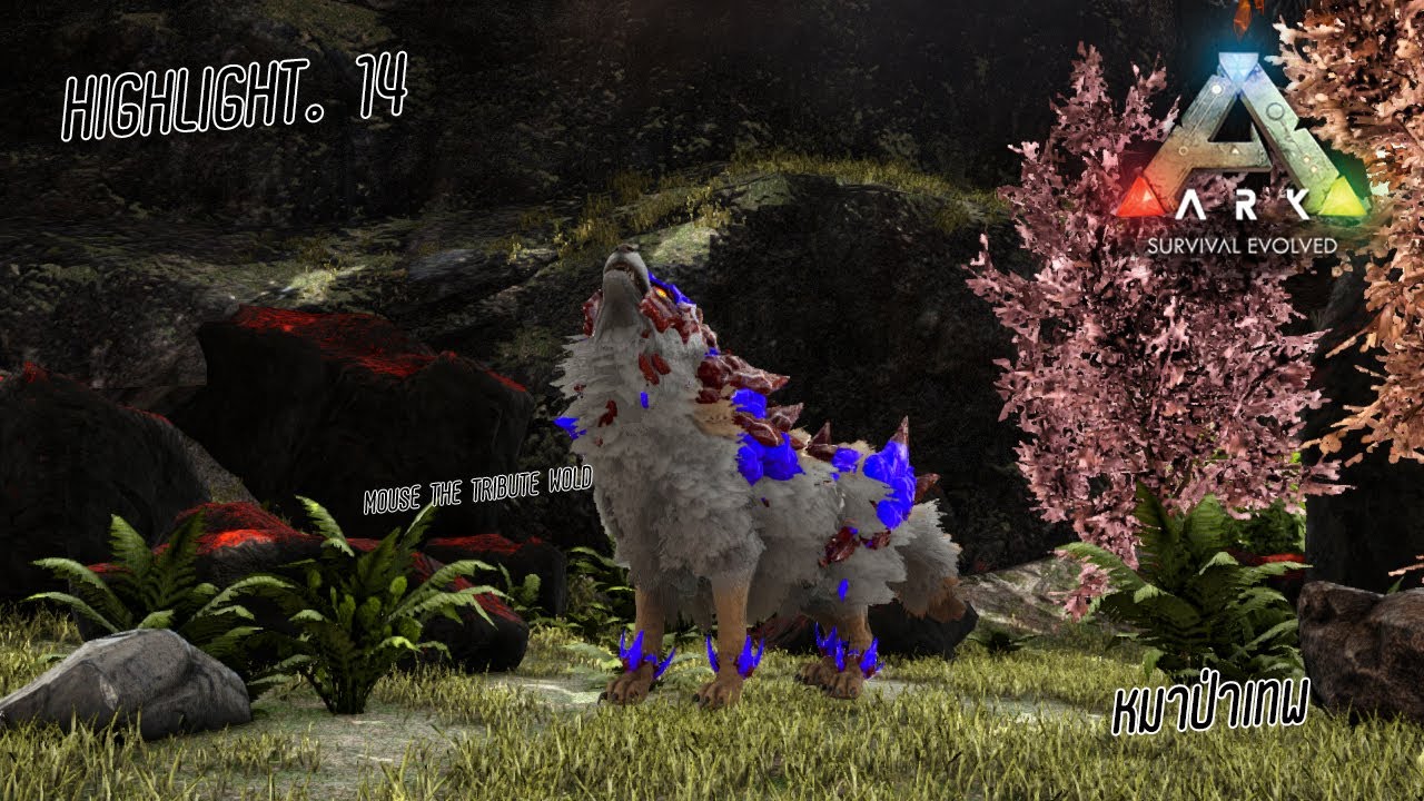 WOLF เทพประทาน l Ark Survival Evolved - YouTube