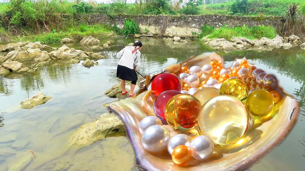 I picked up a heavy clam, feeling that it had a treasure that could ...