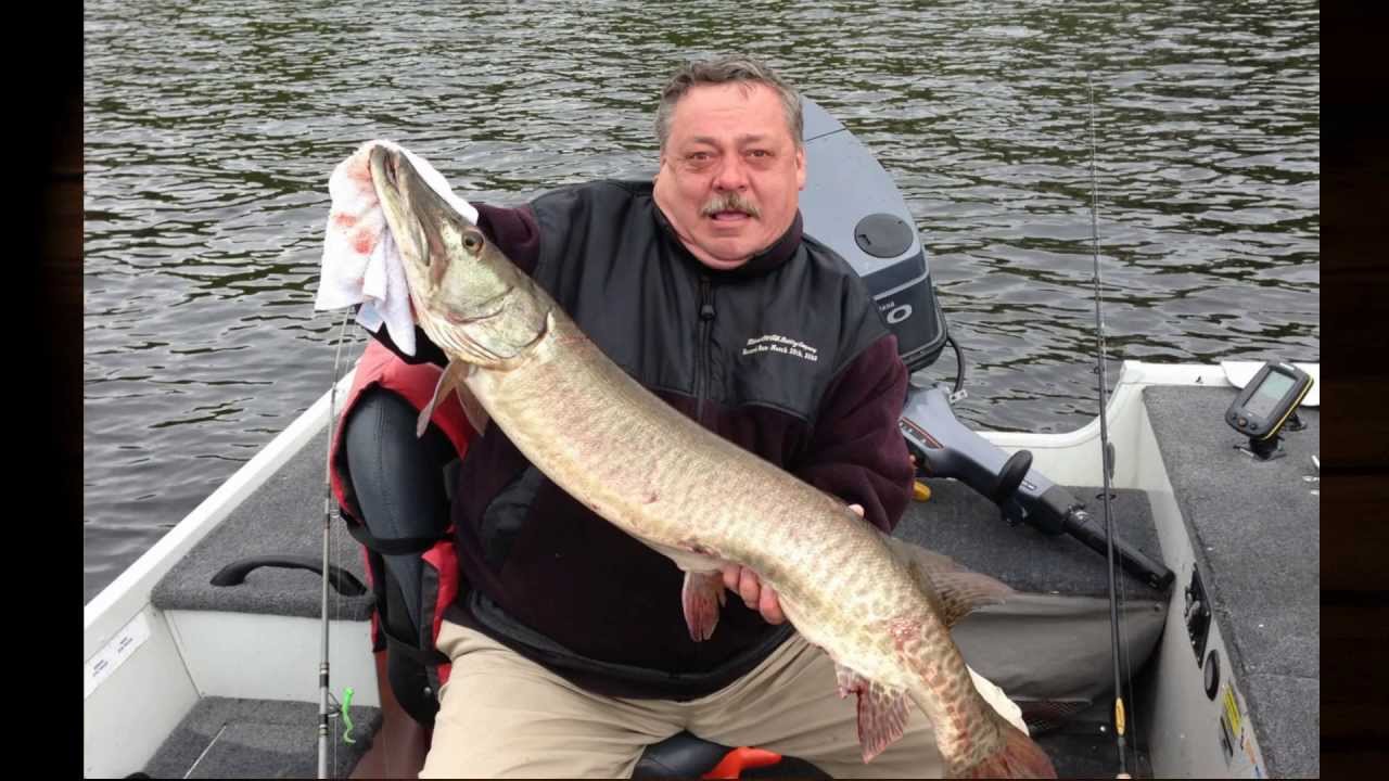 Gone Fishing With Chuck Shaw 42 Inch Musky - YouTube
