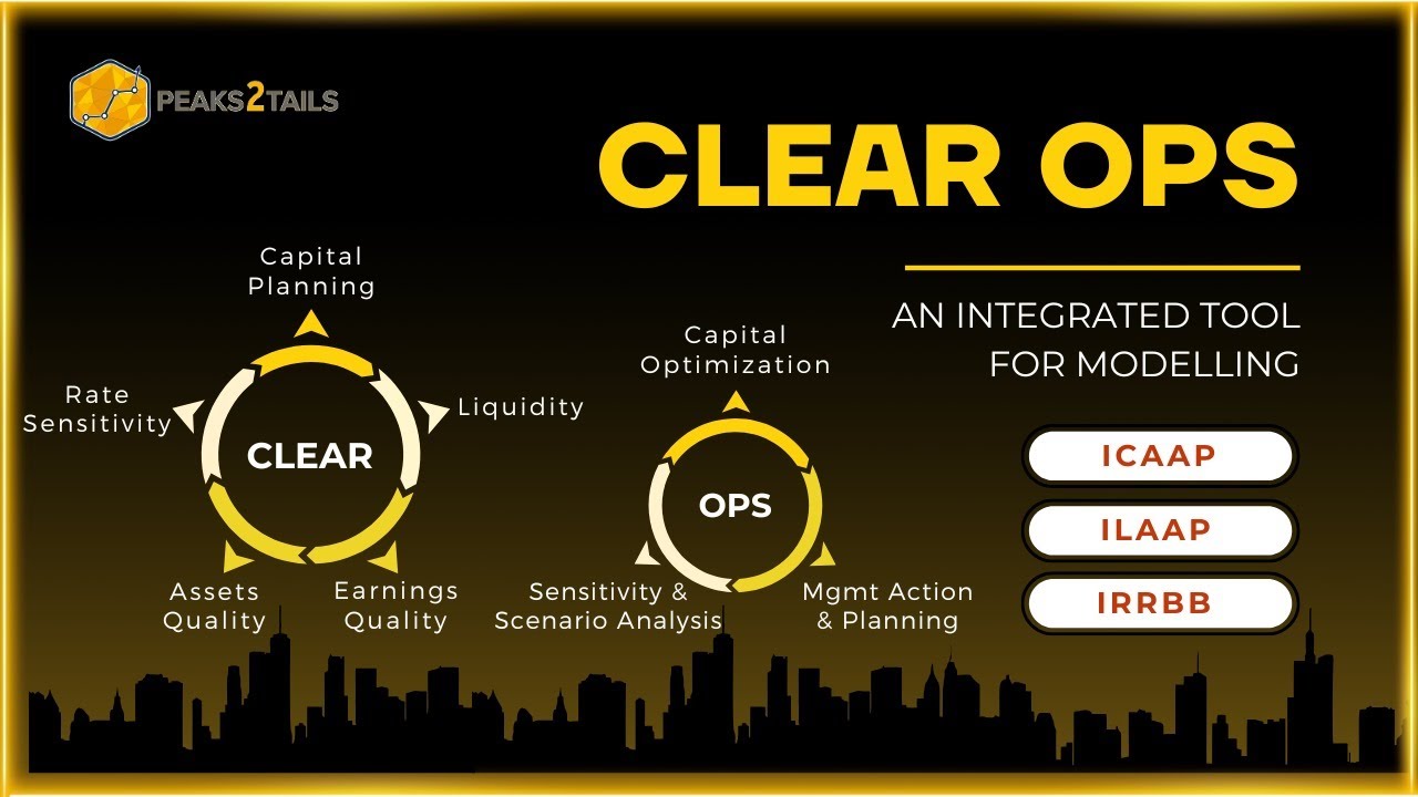 CLEAR OPS - An Integrated tool for ICAAP, ILAAP and IRRBB Modelling ...