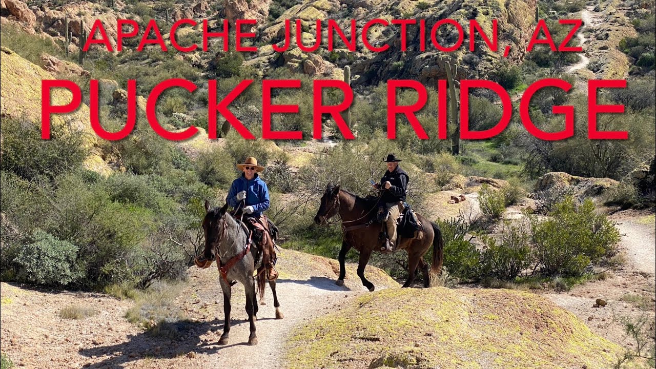Pucker Ridge Horse Trail Ride, Apache Junction, Arizona - YouTube