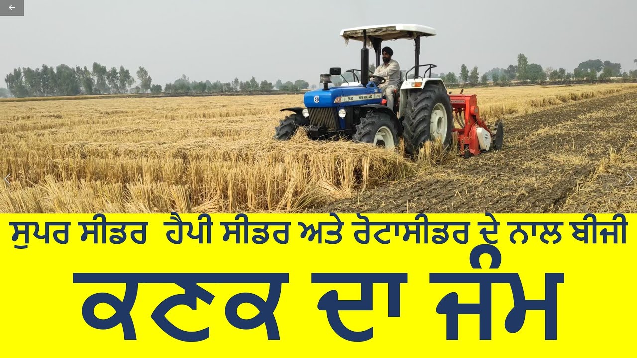 Super seeder vs happy seeder germination... - YouTube