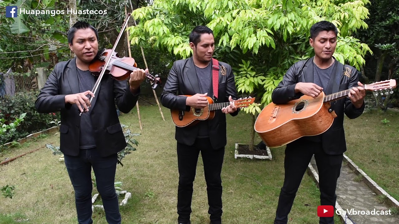 Huapangos Huastecos por el Trío Cenzontle Huasteco de Tamalín Veracruz ...