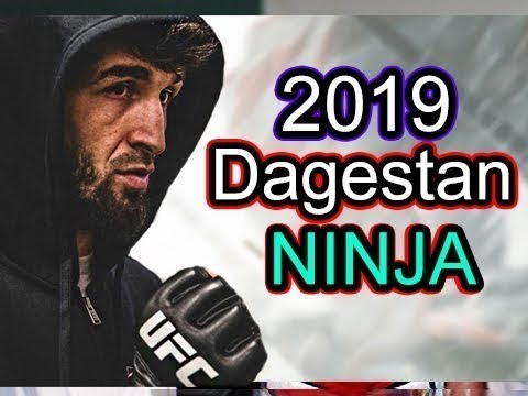[2019] Zabit Magomedsharipov ★ UFC Highlights || Training Motivation - [HD]