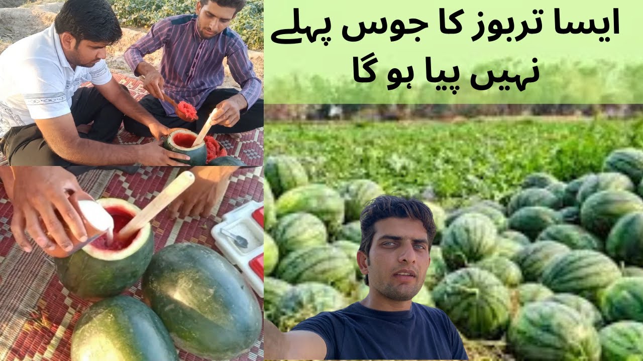 Sharbaty Mohabbat !recipe by Muhammad Ali ! Ali Billa Vlogs - YouTube