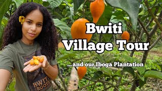 Bwiti Village Tour & Iboga Plantation | Gabon