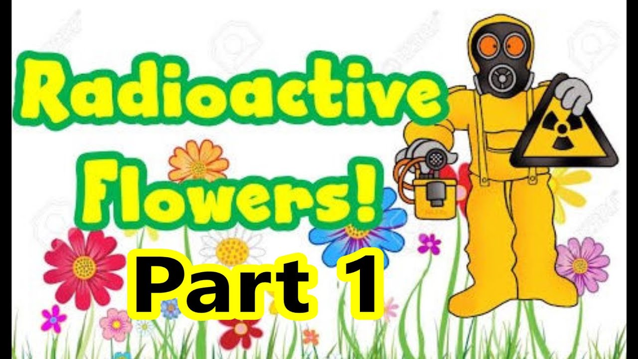 Growing Radioactive Flowers - Part 1 : Eye-On-Stuff - YouTube