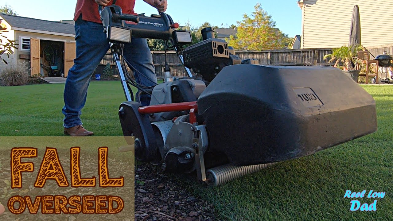 Overseed Bermuda Grass with Rye Grass | Green Lawn Domination - YouTube