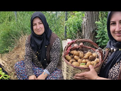 ACI KAYBIMIZ😒SEBZELERIME BI BAKIN TEYZELERI MAŞALLAH 🧿🧿🤲