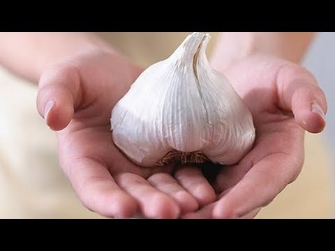 Δείτε τι συμβαίνει όταν τρως σκόρδο με άδειο στομάχι και τι θεραπεύει ...