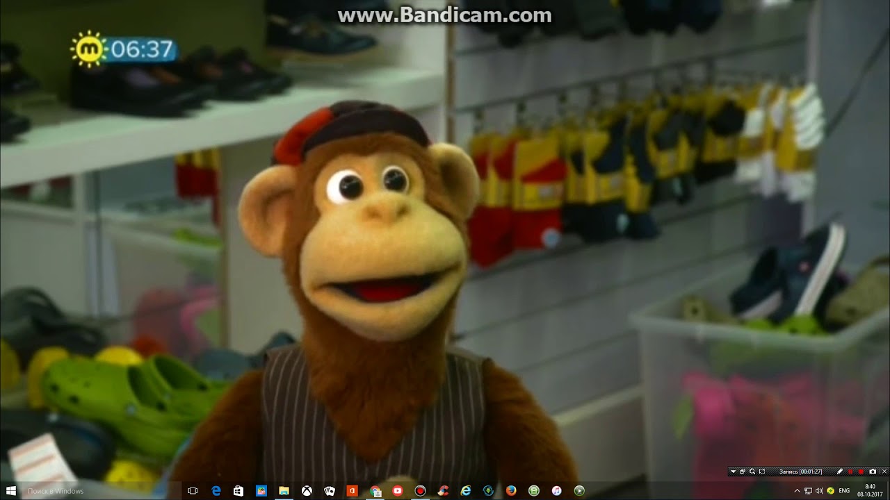 Milkshake! Monkey At The Shoe Shop - YouTube