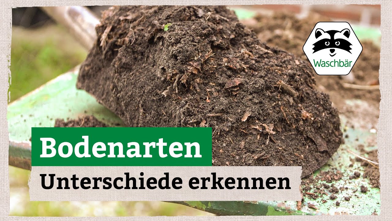 Die verschiedenen Bodenarten - YouTube