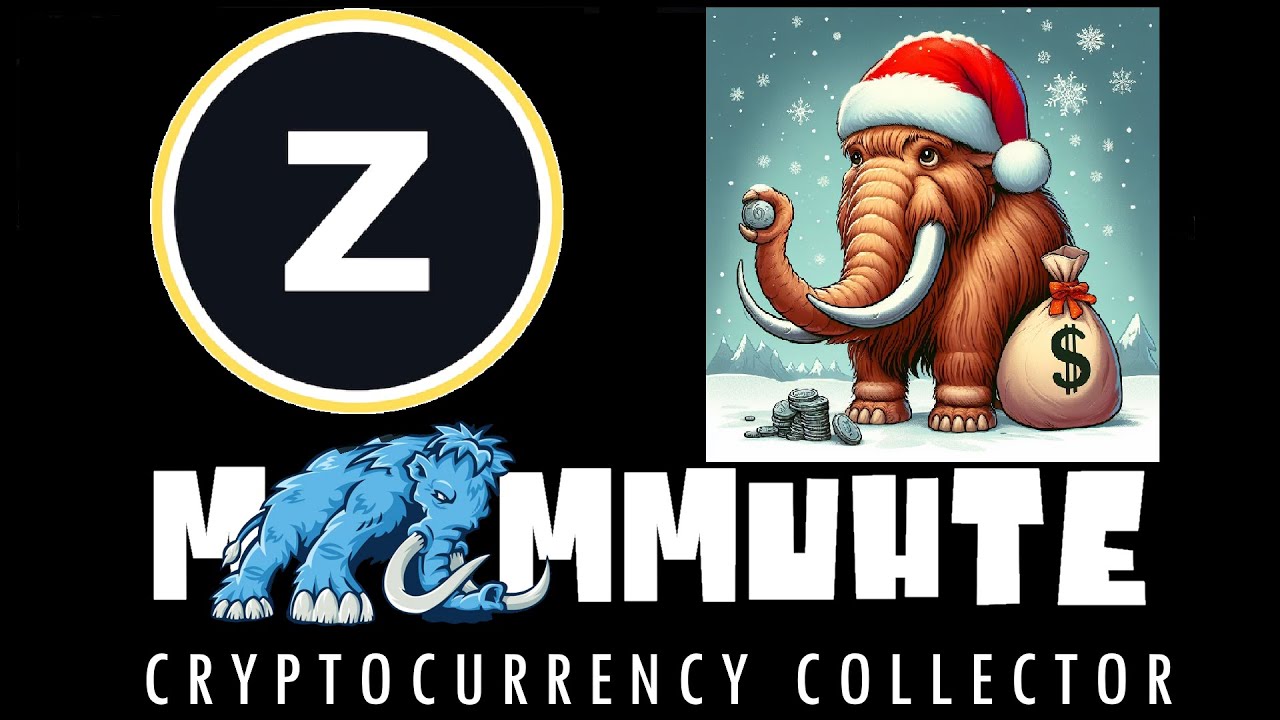 🎄Zero (ZER): Carta, Carteira e Faucets.🎄 - YouTube