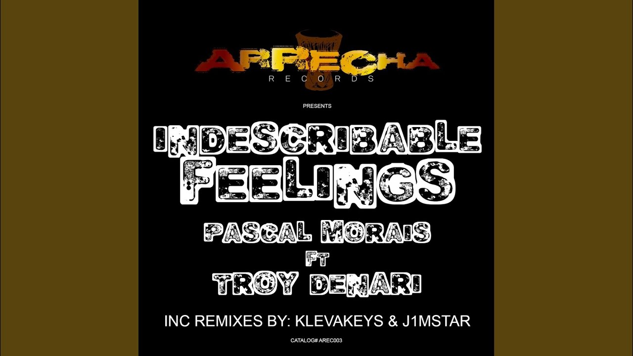 Indescribable Feelings (Original Mix) - YouTube