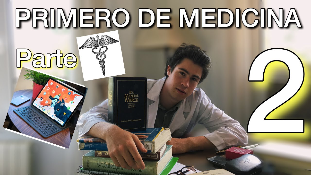 Cómo SOBREVIVIR a PRIMERO de MEDICINA 👨‍⚕️PARTE 2 - YouTube