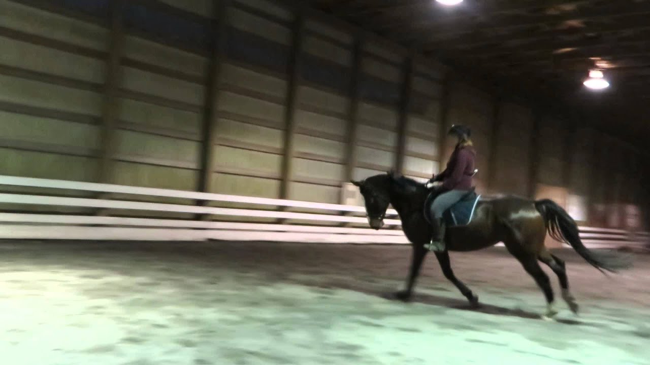 Heather canter left turning - YouTube