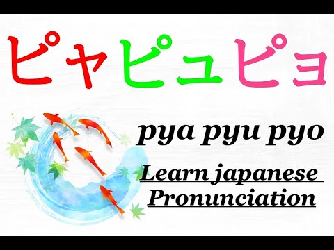 【ka ta ka na / カタカナ】pya pyu pyo / ピャ ピュ ピョ / The contracted sound of ...
