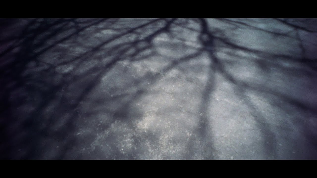 Pinwide 4K Demo 2 - 11mm Pinhole Lens + Sony A7S II - YouTube