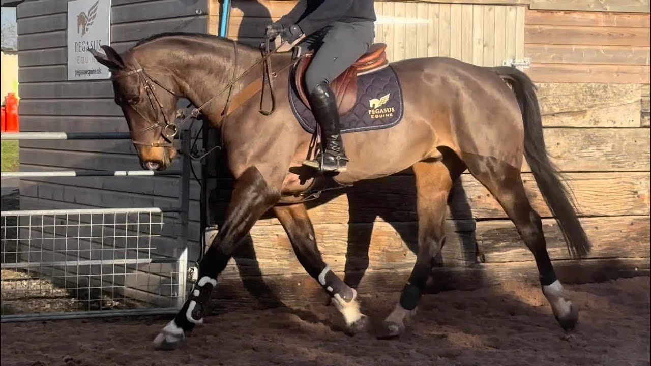 Jagger flatwork - YouTube