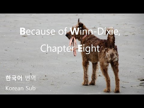 Because of Winn-Dixie, 여덟번째 이야기 :) 한국어번역, ASMR - YouTube
