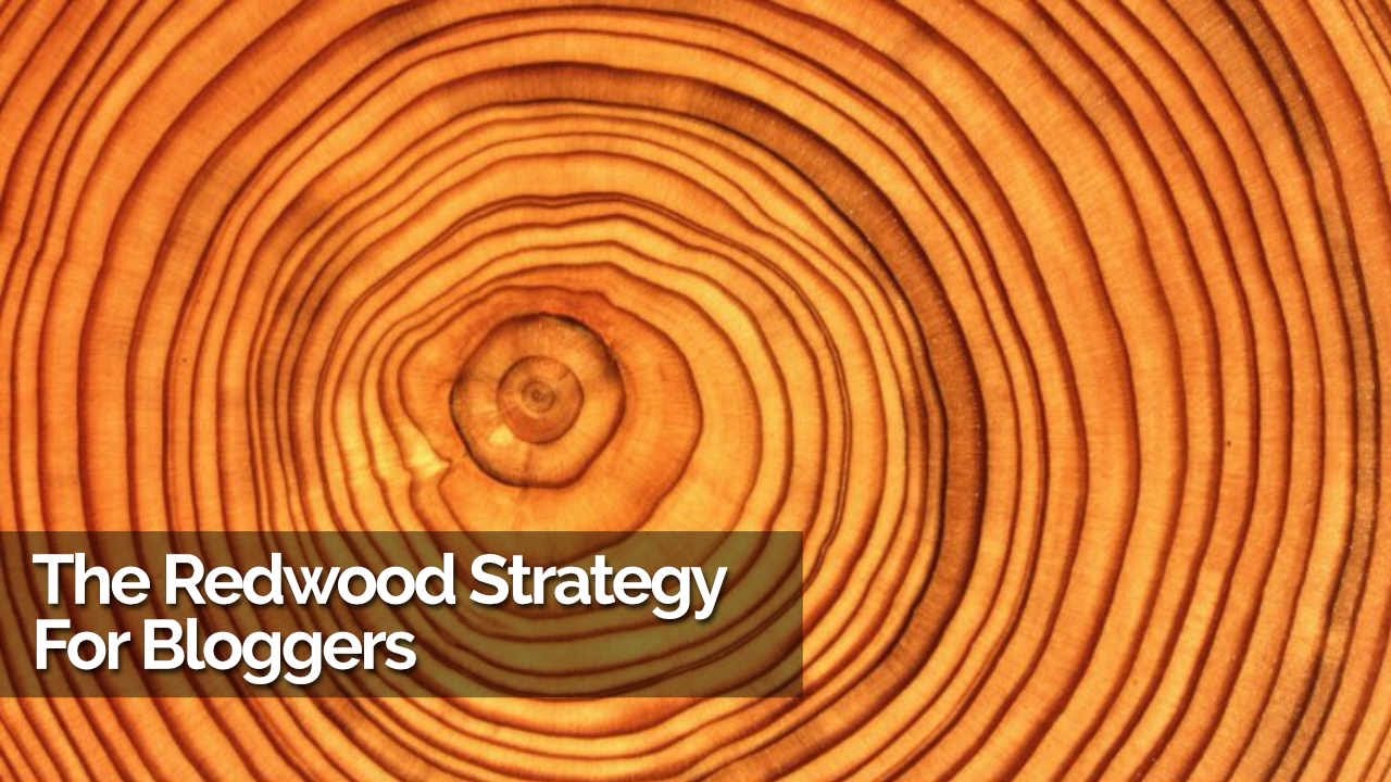 The Redwood Strategy: The Efficient Content Strategy For Bloggers To ...