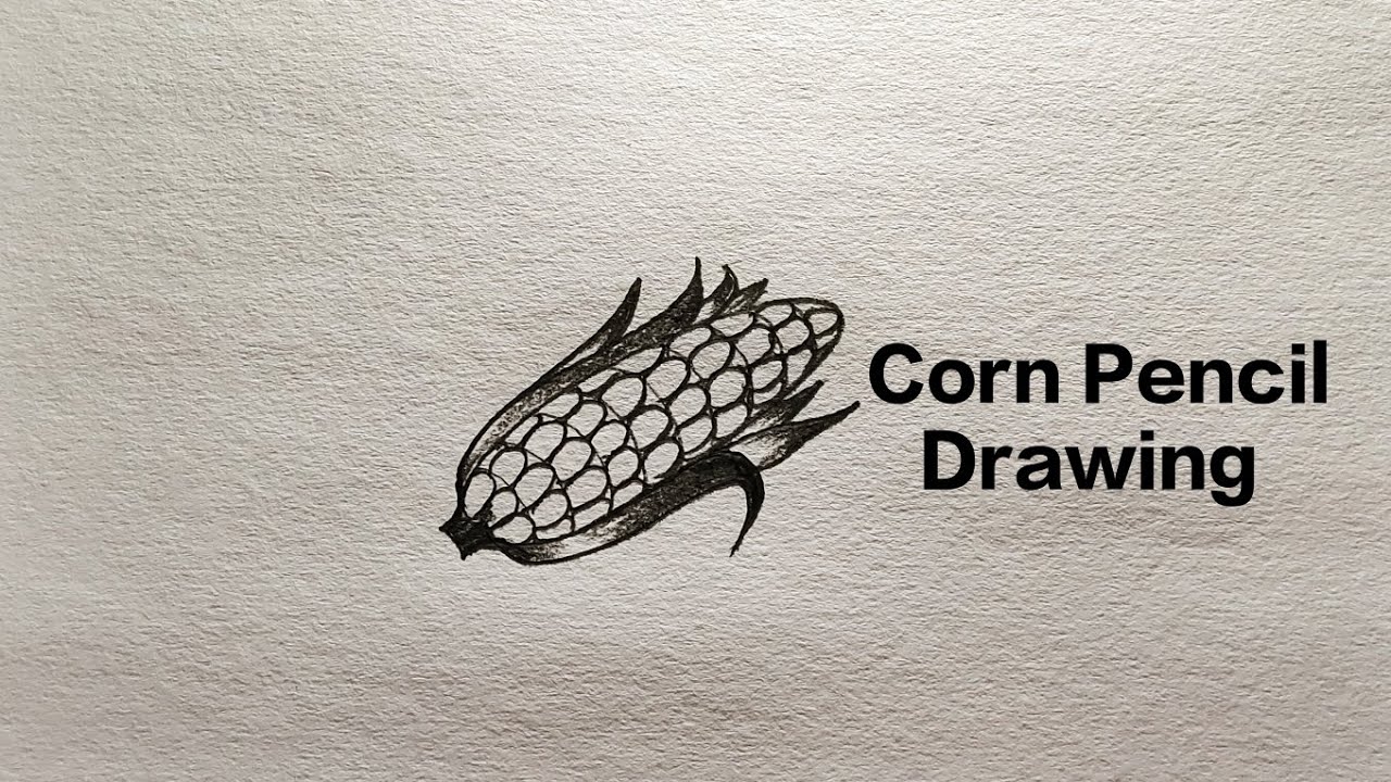 Corn Pencil Drawing Tutorial BM30Y - YouTube