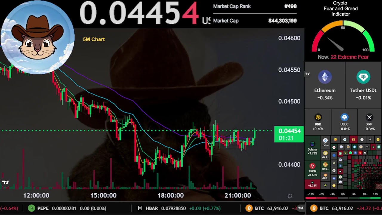 $PNUT | Live Stream 24/7 | Peanut The Squirrel USDT | Crypto Signals ...
