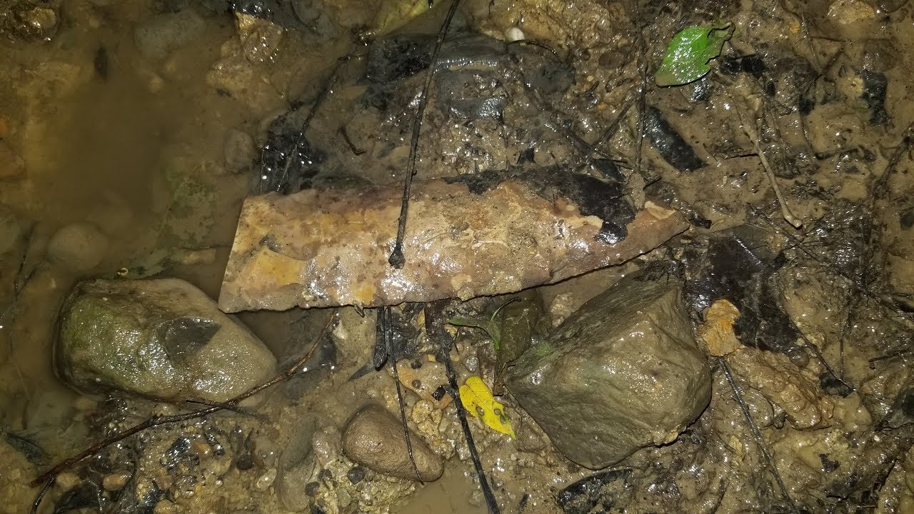 Monster Arrowhead!!! Over 6 inch Wadlow!! - YouTube