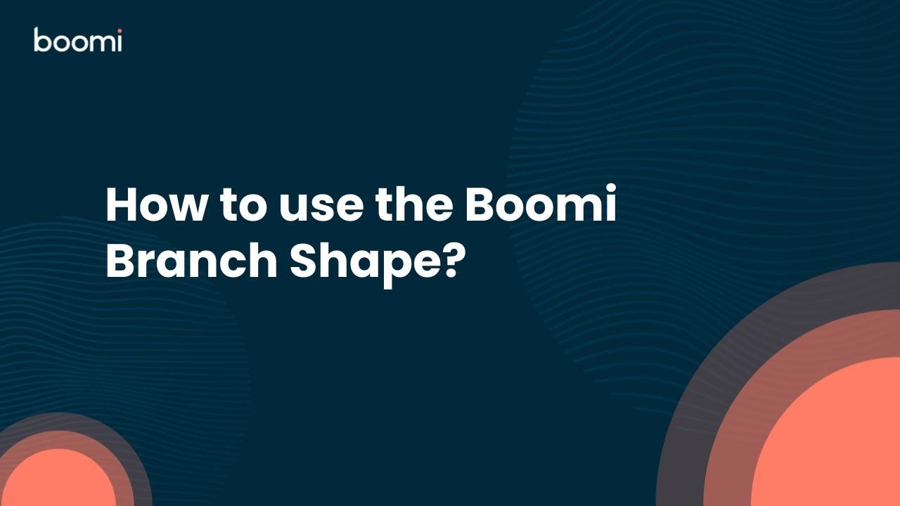 How to use the Boomi Branch Shape? - YouTube