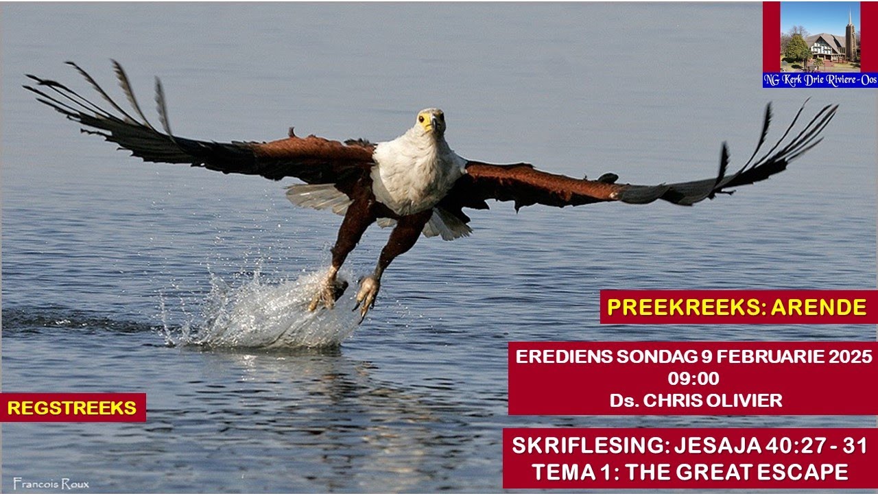 Arende: Inleiding Tema 1 - YouTube