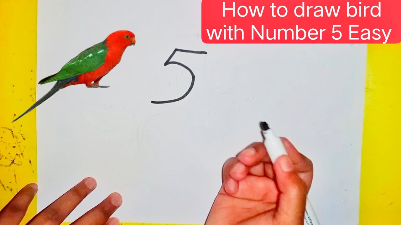 Parrot drawing |How to draw bird with 5 Number step by step in 2023 ...