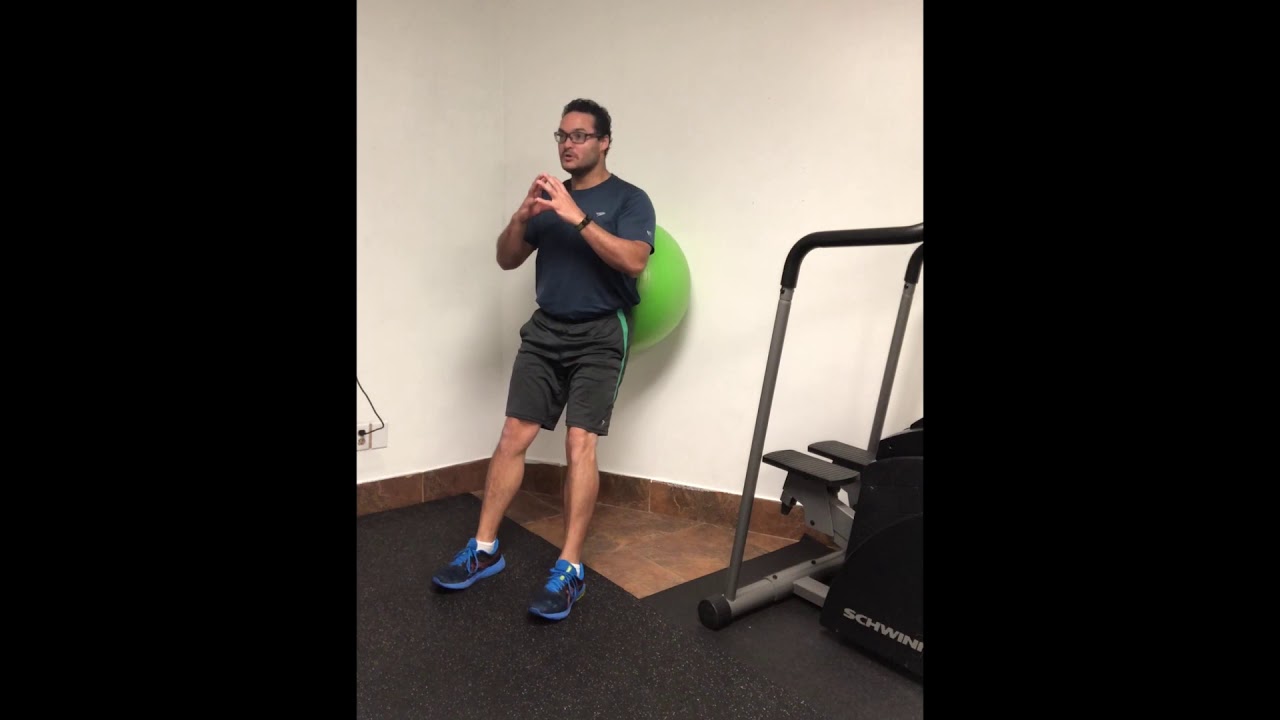 Stability Ball Wall Squats | Rafael PT Exercise Videos - YouTube