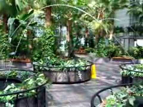 chicago navy pier atrium - YouTube