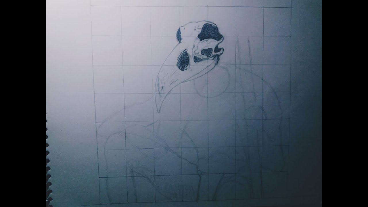 Drawing KHONSHU from MOON KNIGHT(PART2).Read description :) - YouTube