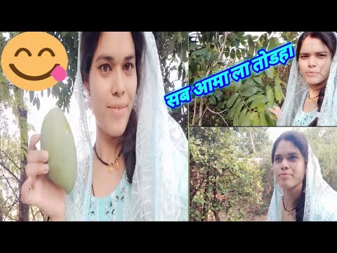 Ghrke Aam🥭 La Tod Ke Khaye Bahut Achh Lagise🤗‼️Family Vlogs ‼️ PM Cg Vlogs 😊‼️ - YouTube