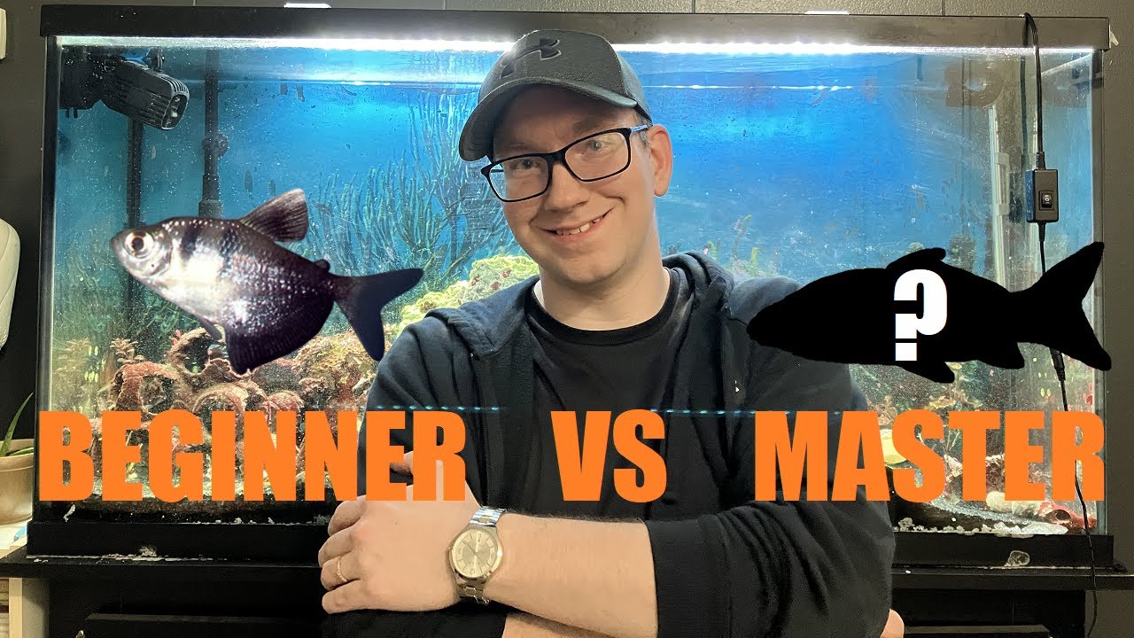 Where Do YOU Rank? - Beginner To Master Tier List! - YouTube