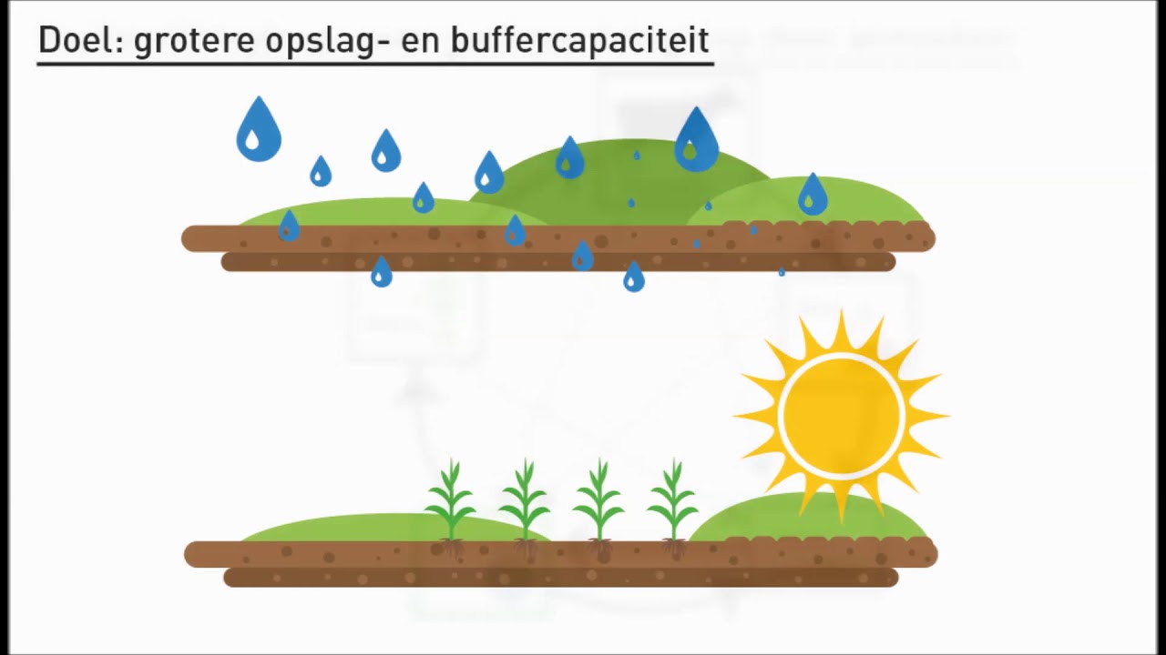 Koolstofkringloop animatie - YouTube