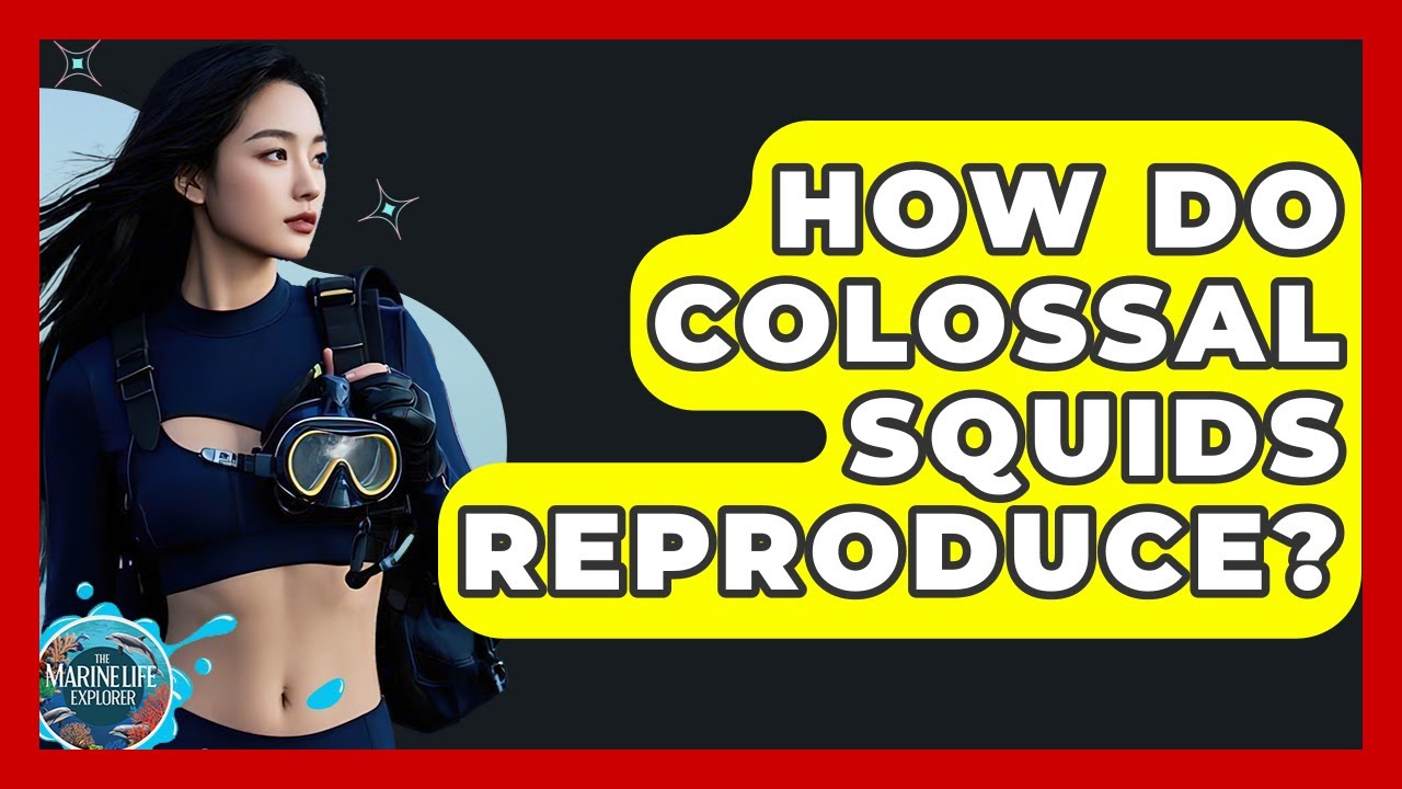 How Do Colossal Squids Reproduce? - The Marine Life Explorer - YouTube