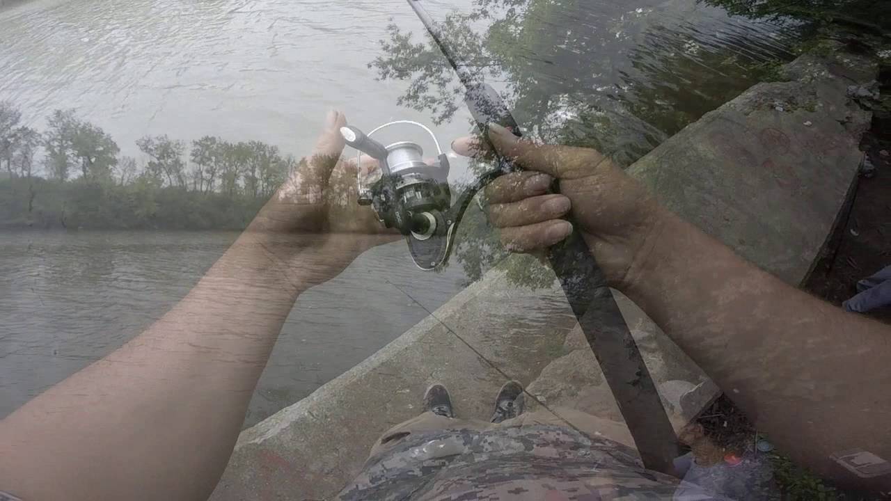 Fishing Illinois EP:2 Cal-Sag River "going For cats" - YouTube