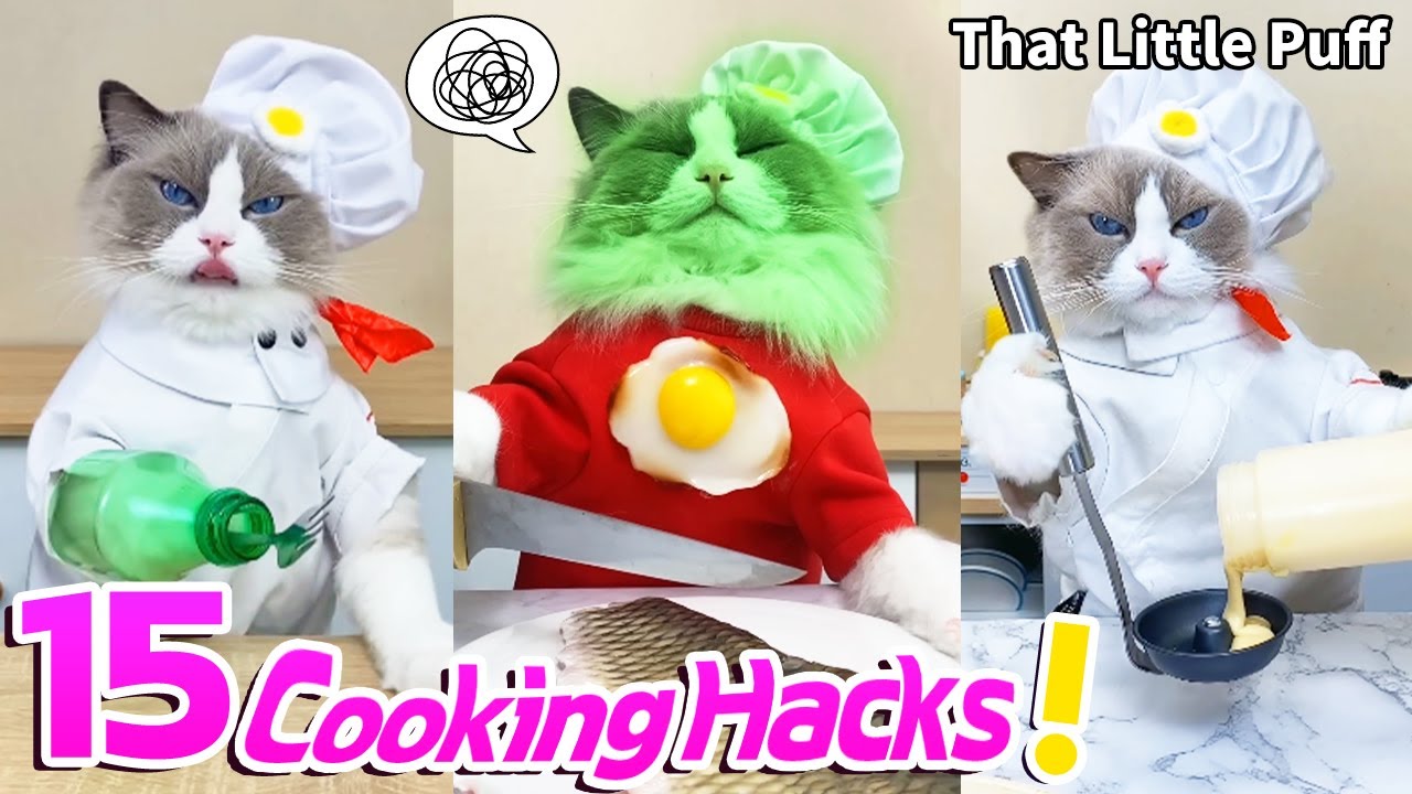 Meow Chef: 15 Cooking Hacks! | That Little Puff - YouTube