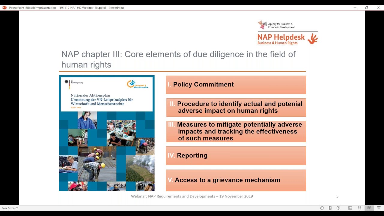 National Action Plan on Business and Human Rights (NAP): Requirements ...
