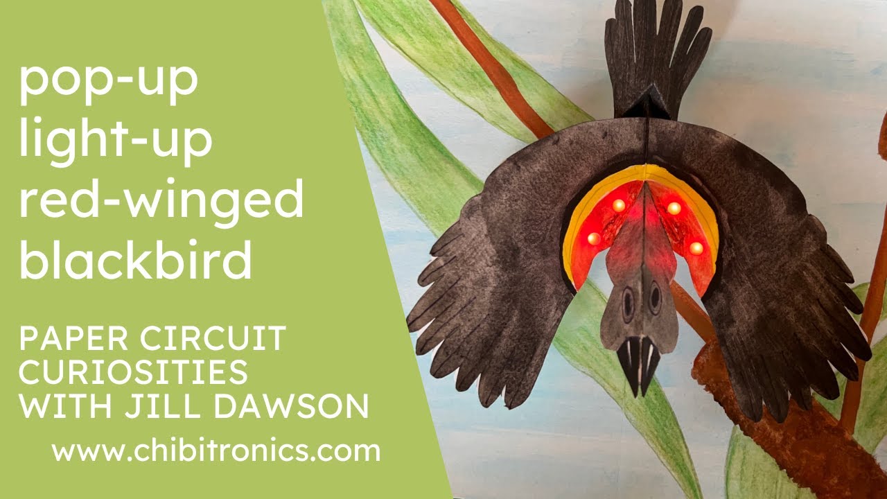 Pop-Up, Light-Up, Red-winged Blackbird Tutorial (Featuring Chibitronics ...
