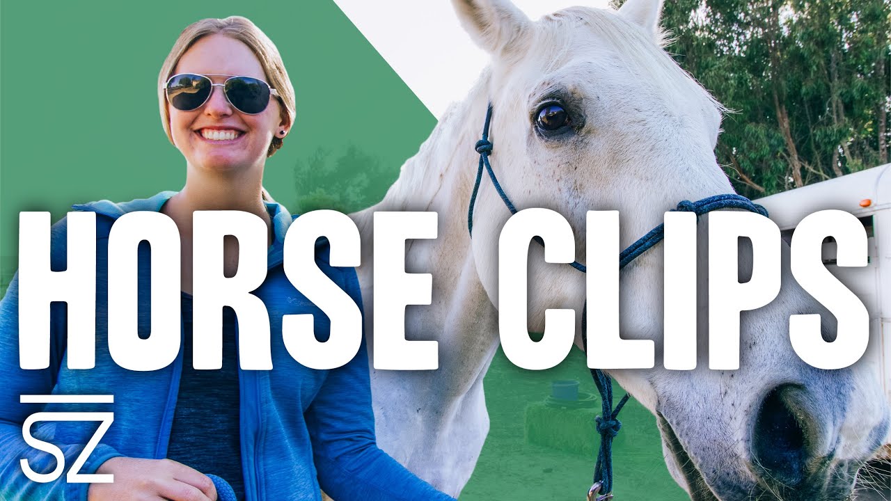 How to Give Your Horse a Haircut - YouTube