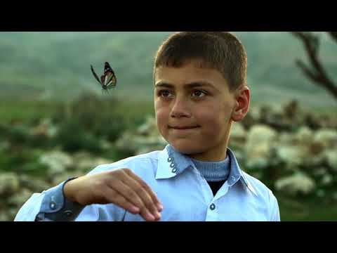 Short Film (Peshmerga)