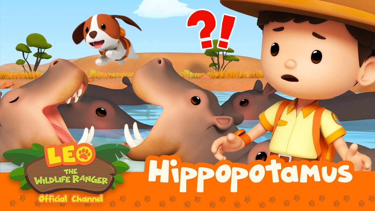 The HIPPOS are HUNGRY! 🦛 | Hippopotamus | Leo the Wildlife Ranger | # ...